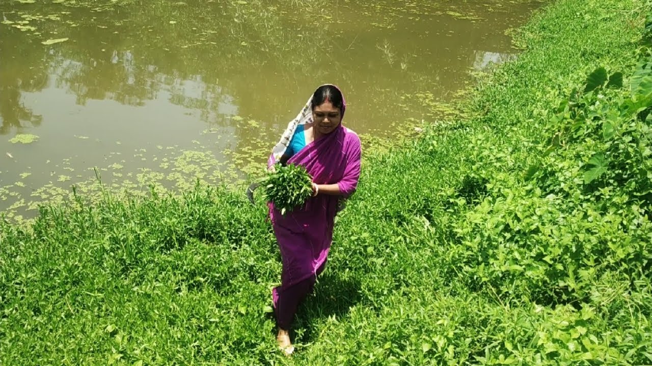 পুকুরের টাটকা হিংচে শাকের রেসিপি l Helencha spinach recipe in village ...