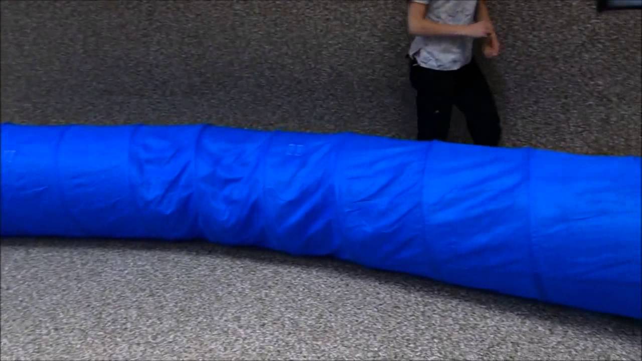 Pawsitively Pooched Agility Mondays - YouTube