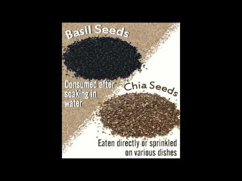 Basil Seeds Vs Chia Seeds A Complete and Detailed Comparison - YouTube