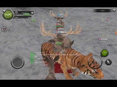 Wild Animals Online playing and a deer pos levels me up to level 60 in ...