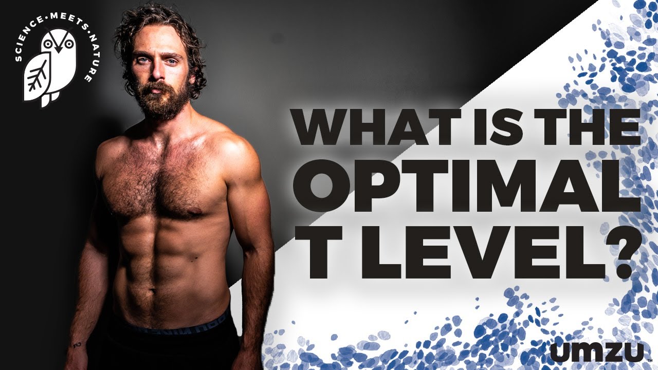 What Are The Optimal Testosterone Levels In Men For My Age? - YouTube