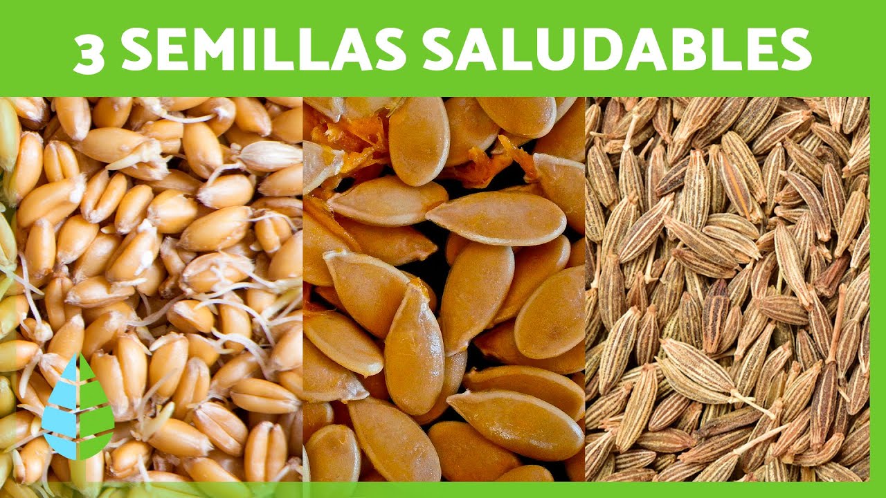 3 SEMILLAS MILAGROSAS que debes INCLUIR en tu DIETA 🌾 - YouTube