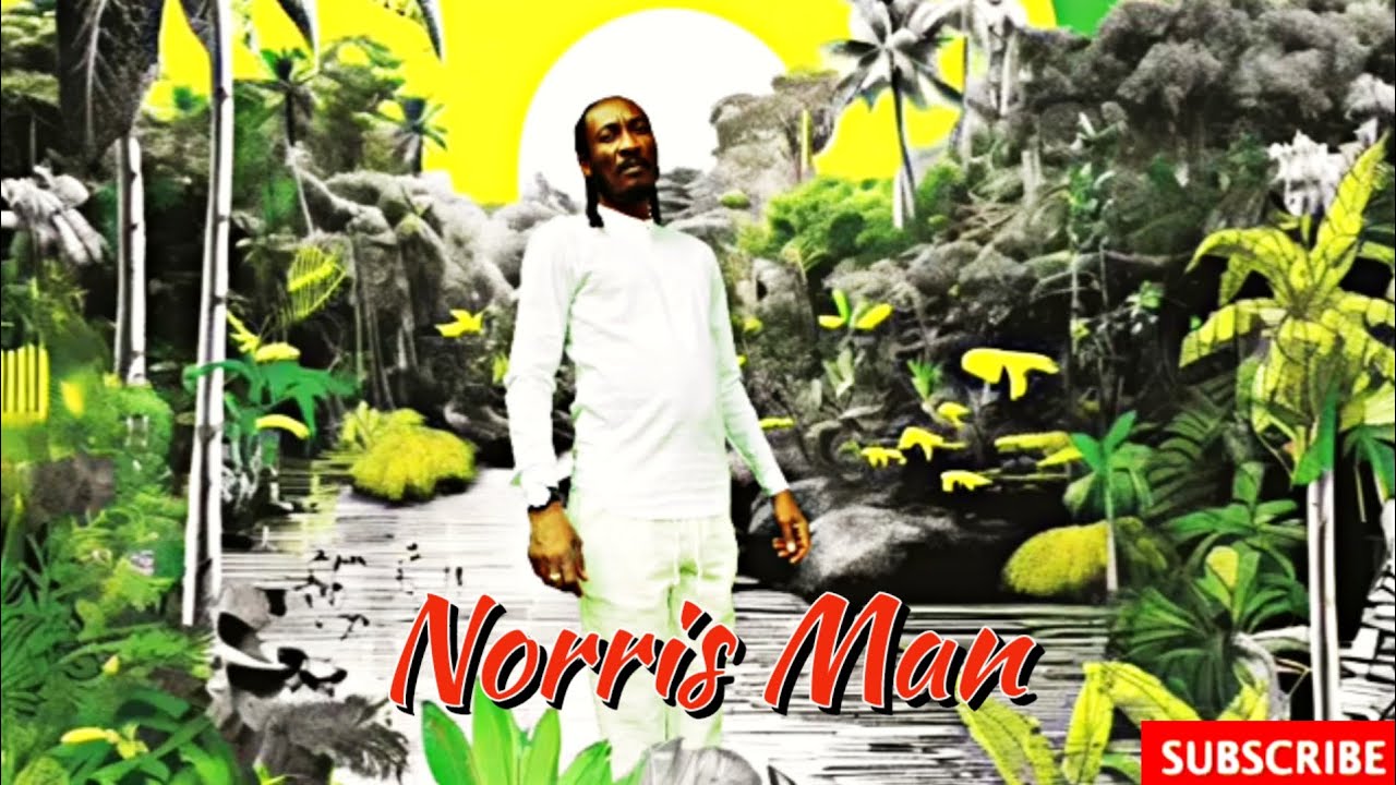 Norris Man & DJ Johnson_Rebel | Reggae Vibes 2025 - YouTube