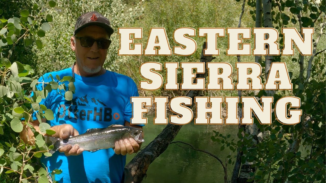 Scenic Trout Fishing June Loop - YouTube