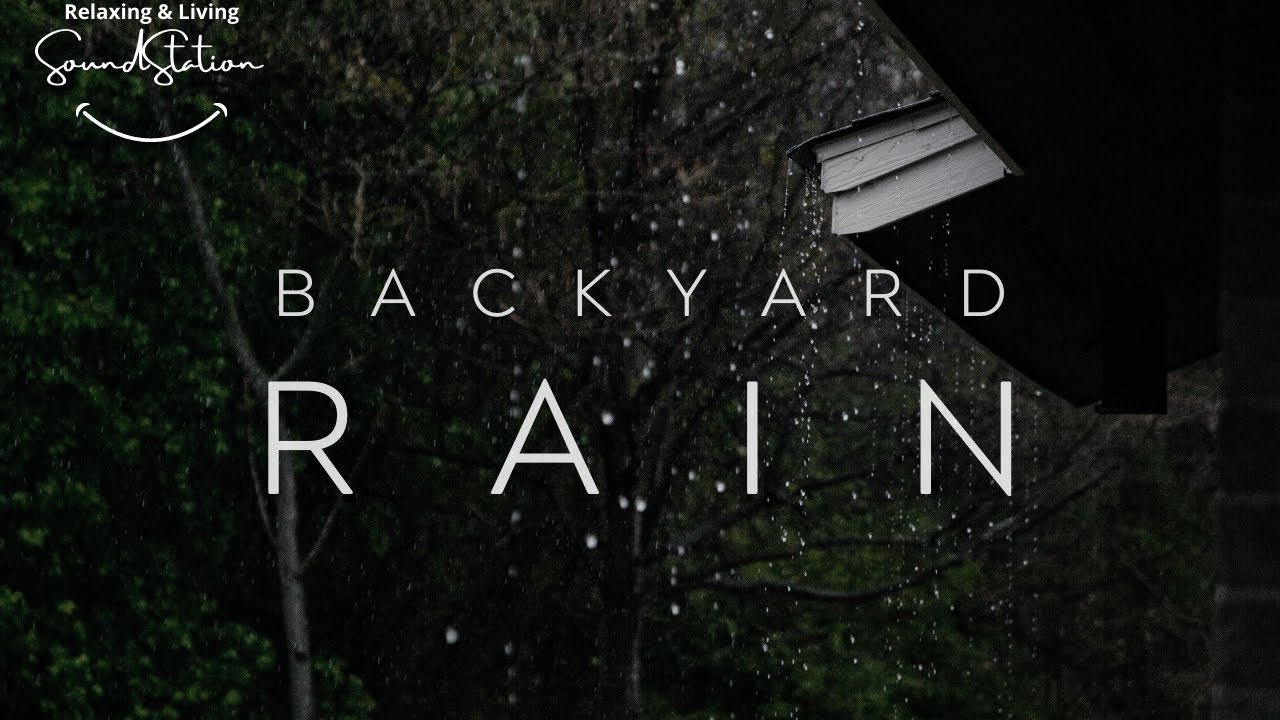 Rainy Bliss: Captivating Sound of Backyard Rainfall: A 20-Minute ...