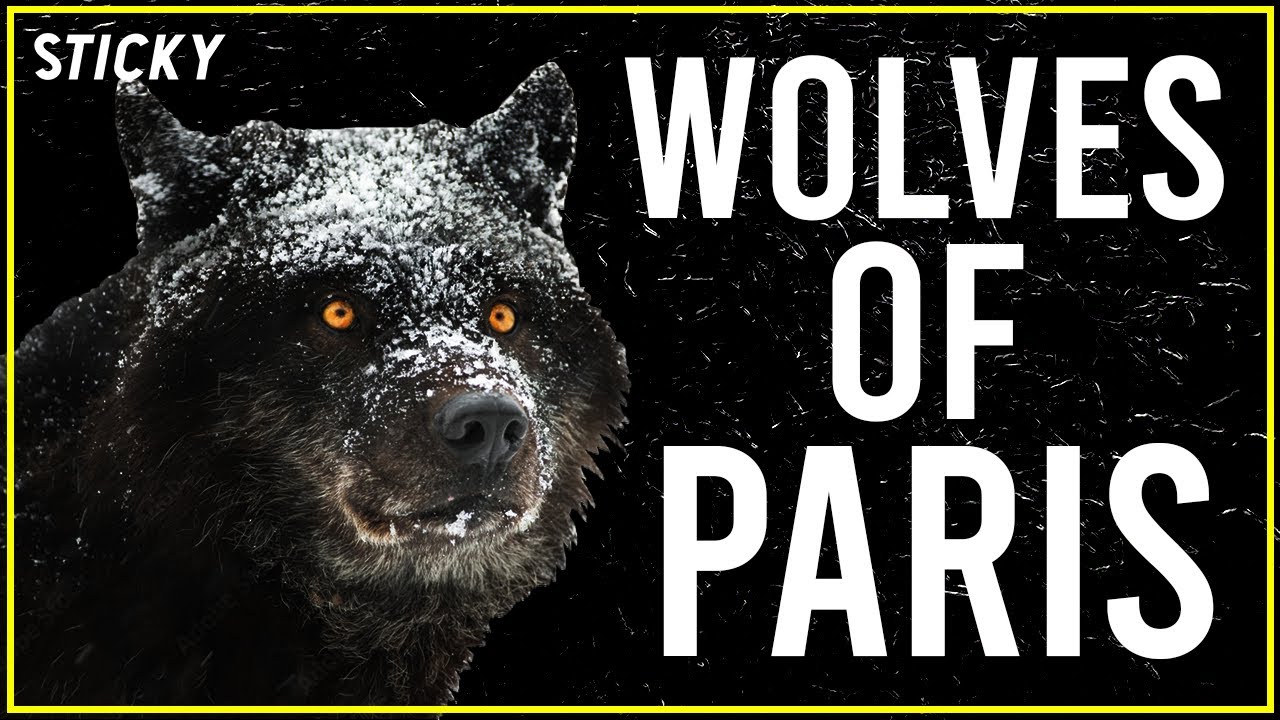 Wolves of Paris | Man vs Wolf in 14th Century Paris - YouTube