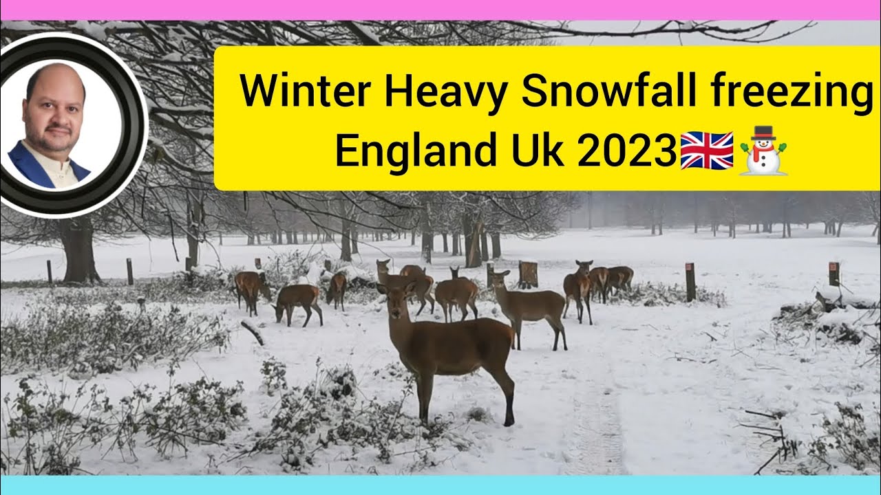 Winter Heavy Snowfall freezing England Uk 2023🇬🇧⛄ - YouTube