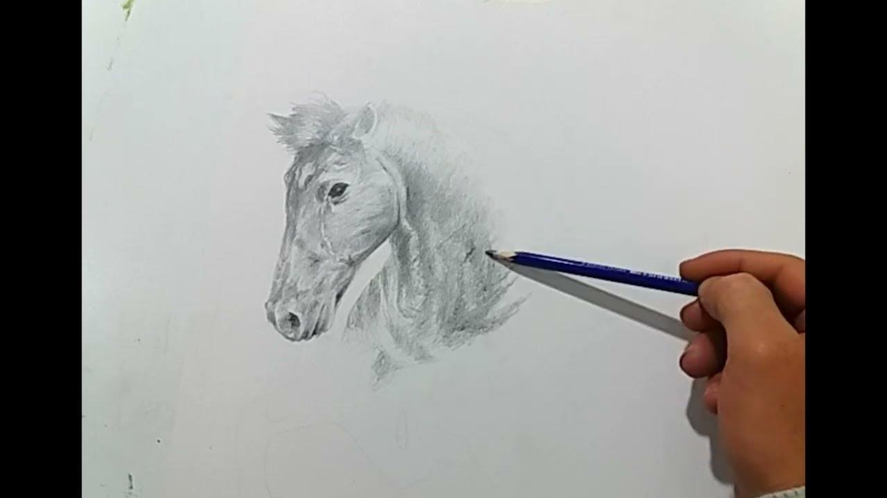 pencil drawings - YouTube