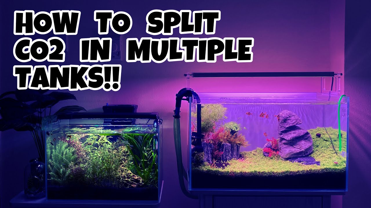 How to split Co2 in Multiple tanks!! - YouTube