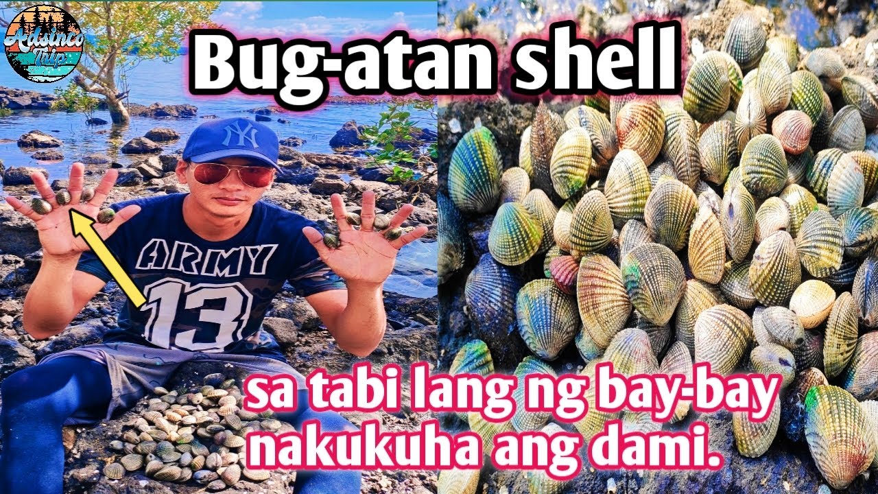 BUG-ATAN SHELL SA TABI LANG NG BAY-BAY NAKUKUHA ANG DAMI / CATCH AND ...
