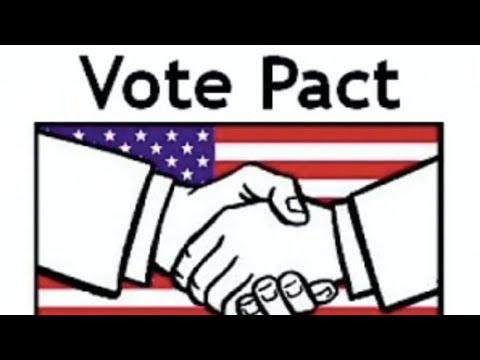 Candidates 4 Assange: Journalist Sam Husseini - YouTube