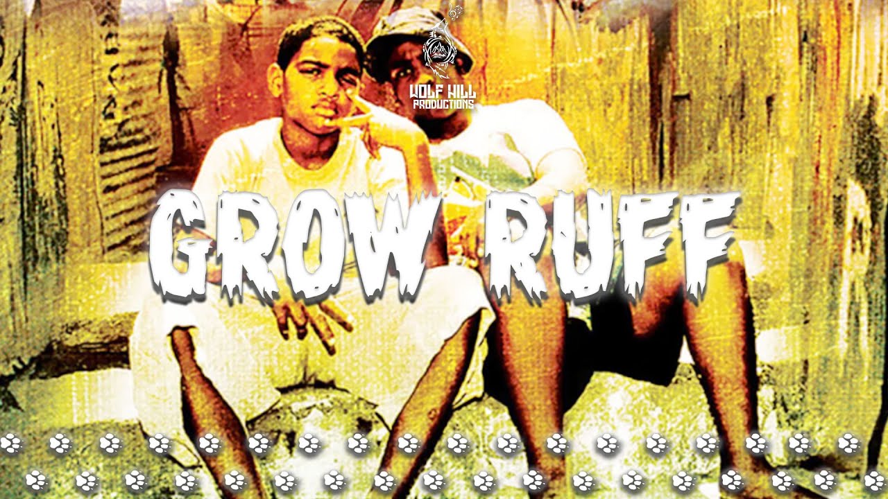 Dancehall Riddim Instrumental 2025 (Grow Ruff) - YouTube
