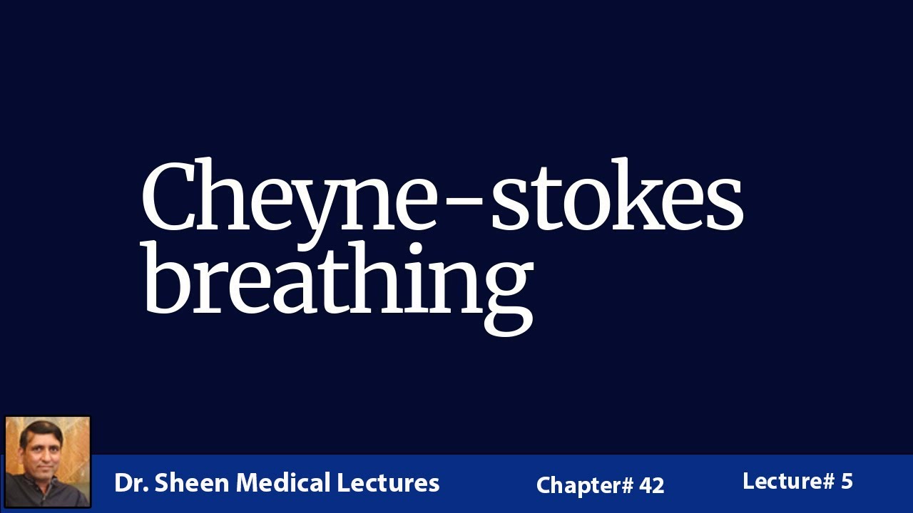 EXPLAIN PERIODIC BREATHING.(CHEYNE-STOKES BREATHING) CHAPTER NUMBER 42 ...