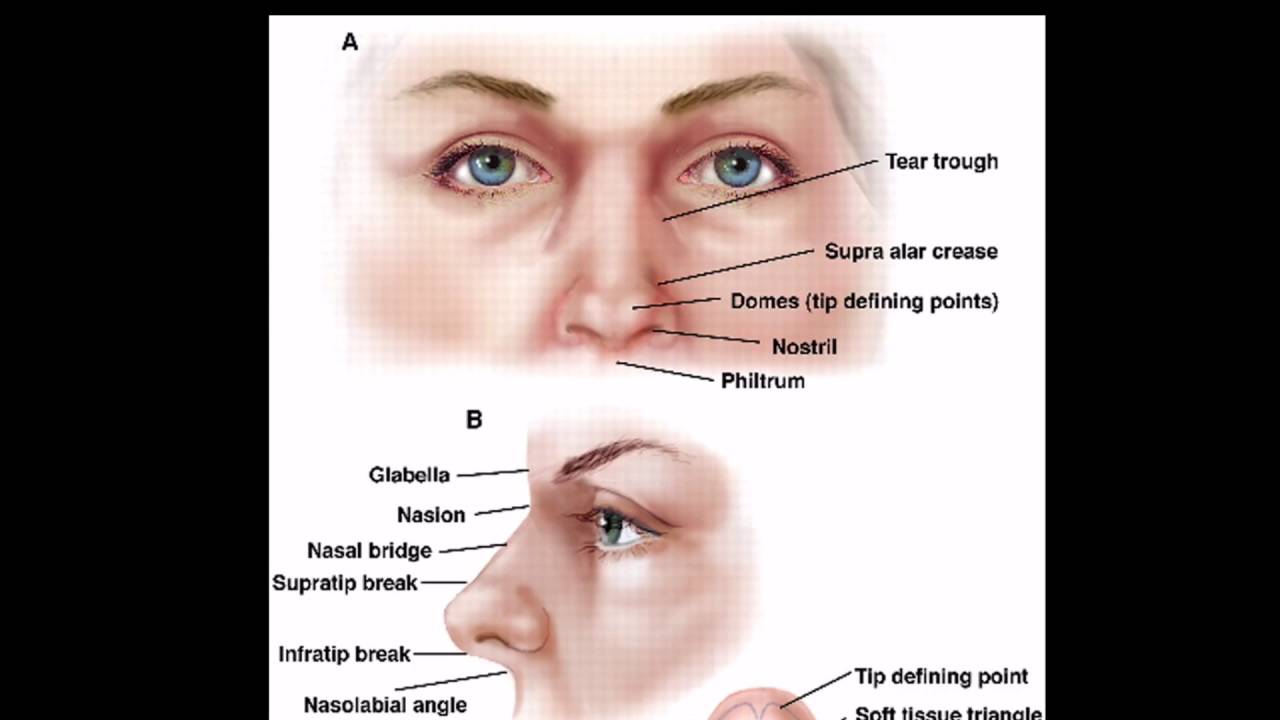 Preenchimento De Nariz - YouTube