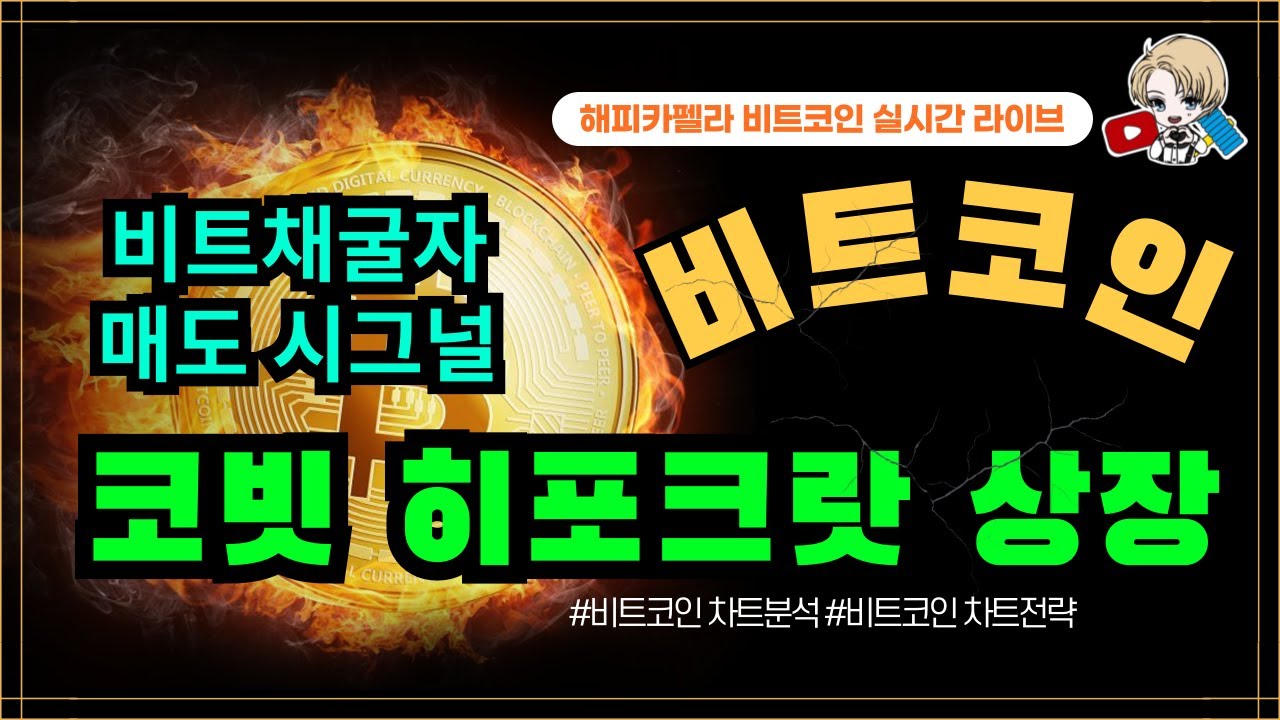 비트코인 실시간 코빗히포크랏 상장 비트채굴자 매도시그널 614 점심💎비트코인 비트코인실시간 이더리움 리플