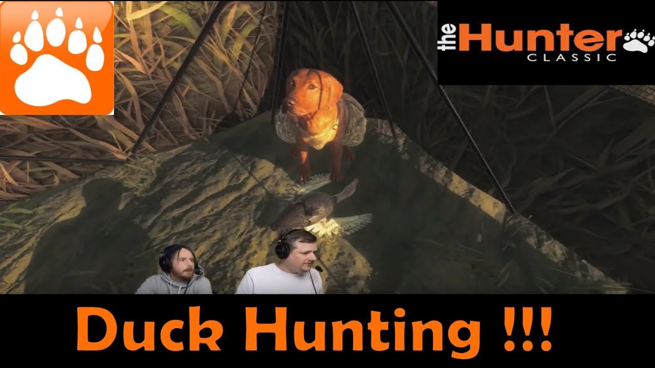 theHunter classic: Duck Hunting with Hunting Dog !!! RE-LIVE Expansive ...