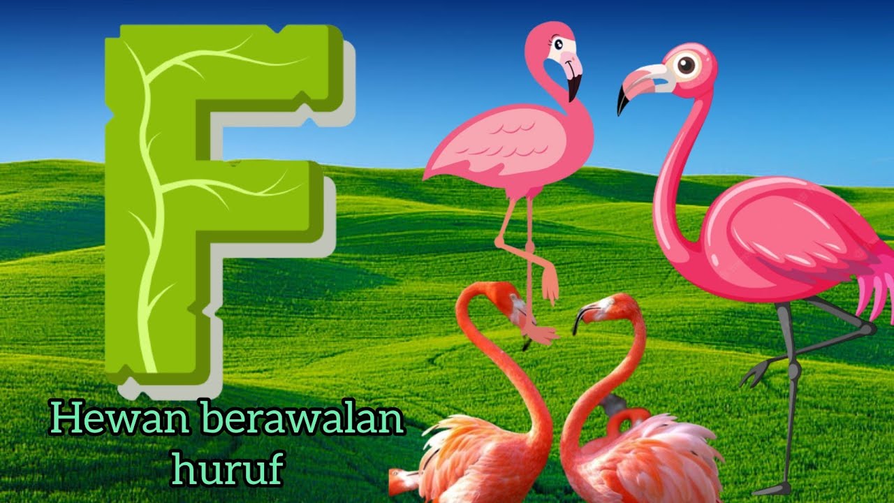 NAMA-NAMA HEWAN BERAWALAN HURUF F BESERTA SUARANYA DALAM BAHASA ...