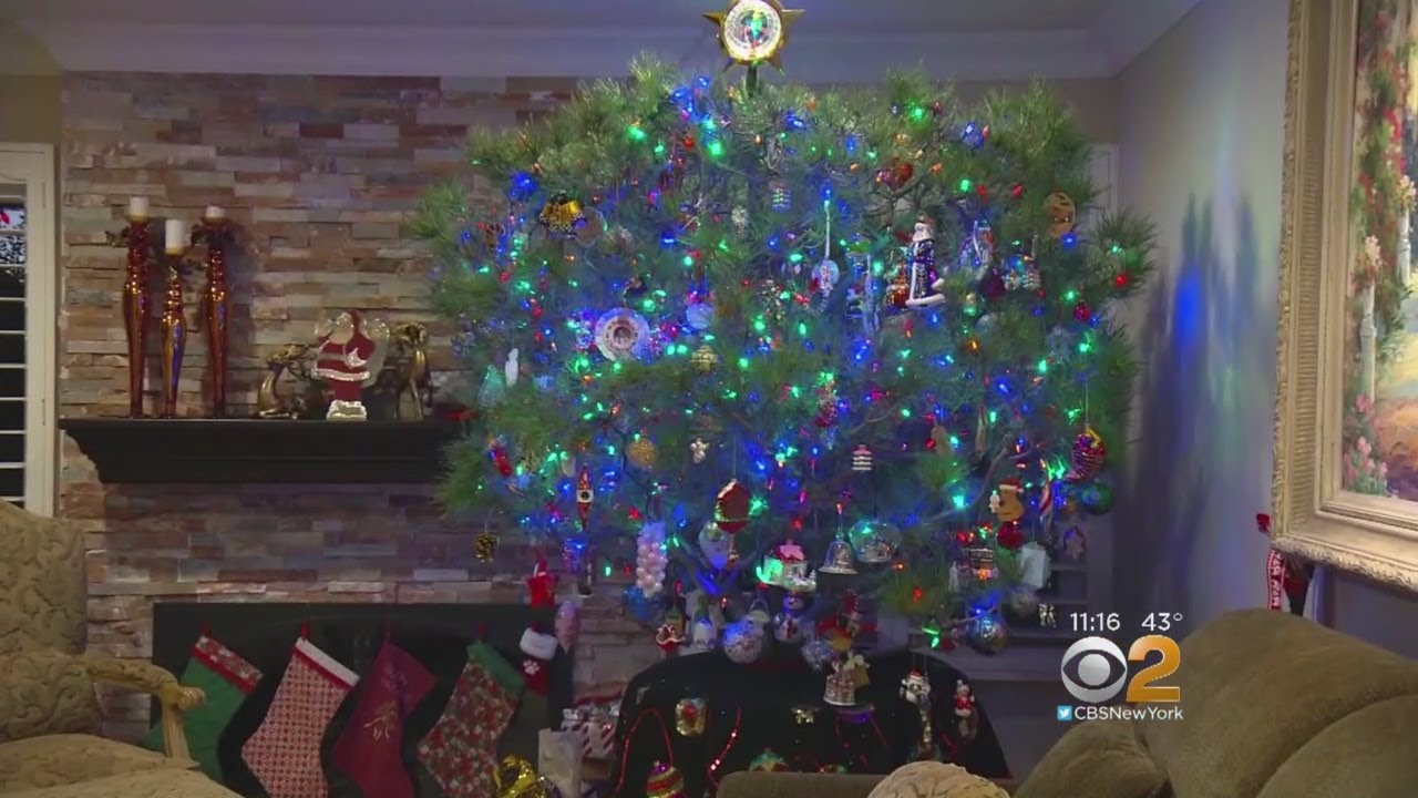 Family Has 34-Year-Old Christmas Tree - YouTube