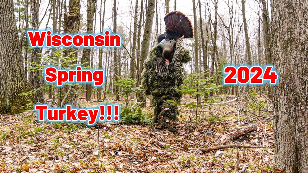 Turkey Hunting in a Gillie Suit! | Wisconsin Spring Turkey 2024 - YouTube