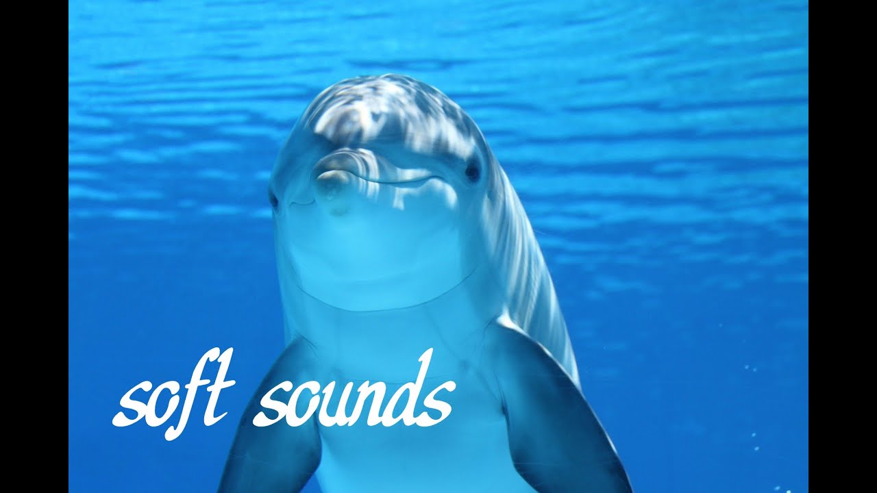 Relaxing, Sleeping music with fish images *to meditate and sleep* - YouTube