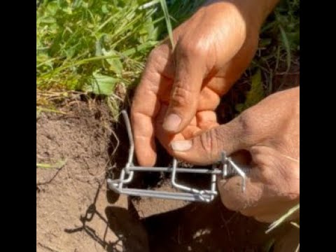 Techniques for Trapping Gophers - YouTube