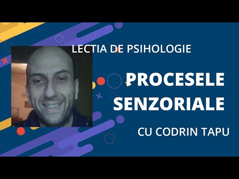 Senzatiile - Lectii de psihologie cu Codrin Tapu - YouTube