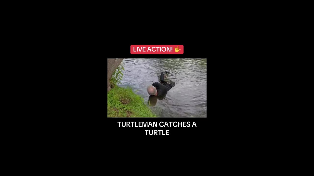 LIVE ACTION!!!! Turtleman & Swampman Catch a Turtle - YouTube