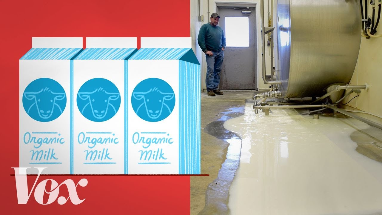 Why American farmers are throwing out tons of milk - YouTube