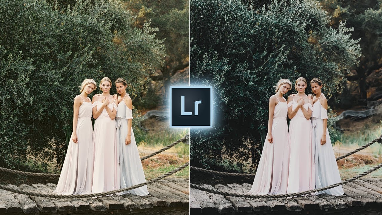 Photography Tips: How to Achieve Bright and Creamy Effect on Your ...