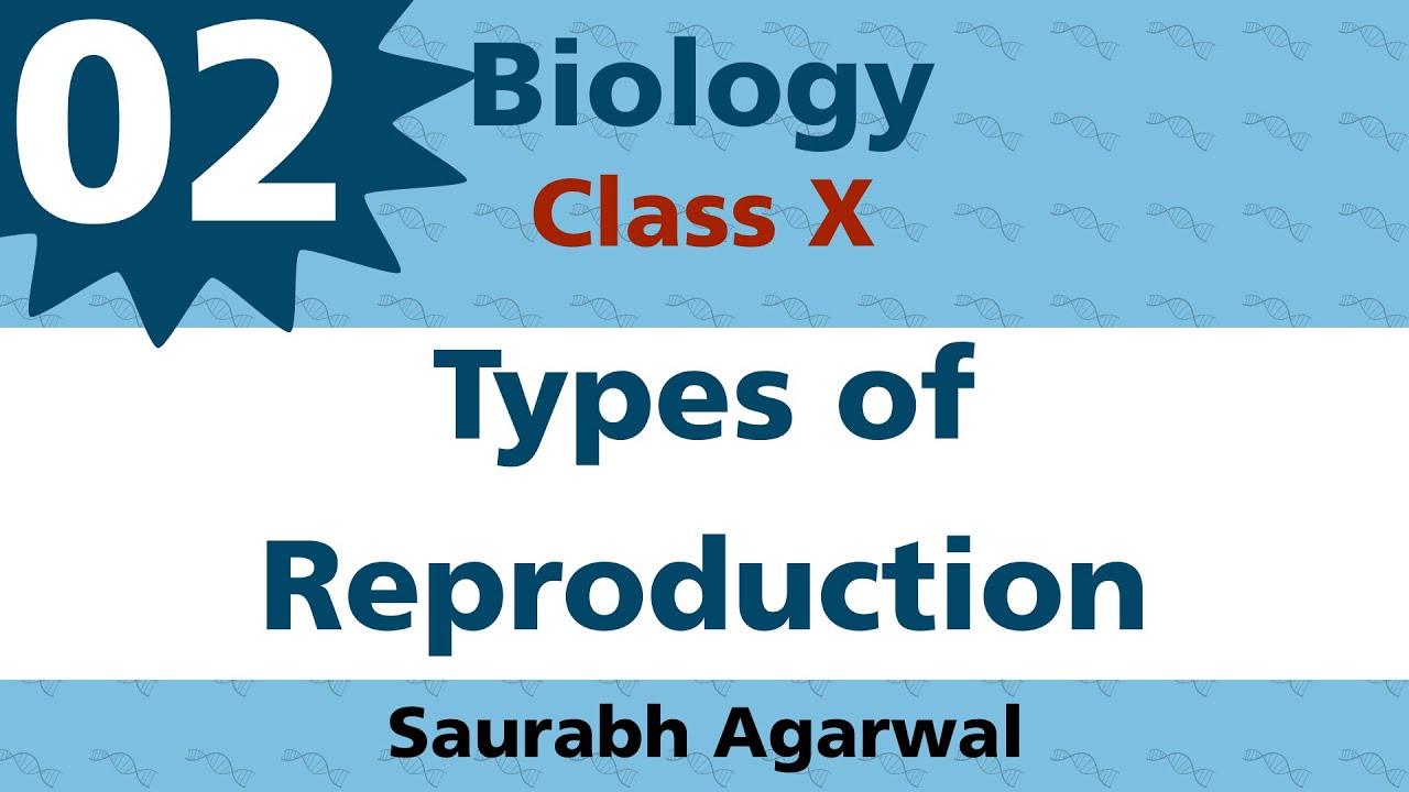 Types of Reproduction Biology Class 10 - YouTube