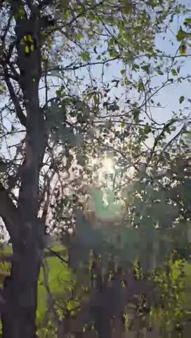 Beautiful Farm in Village | Bair Tree | Punjabi Women #shorts - YouTube