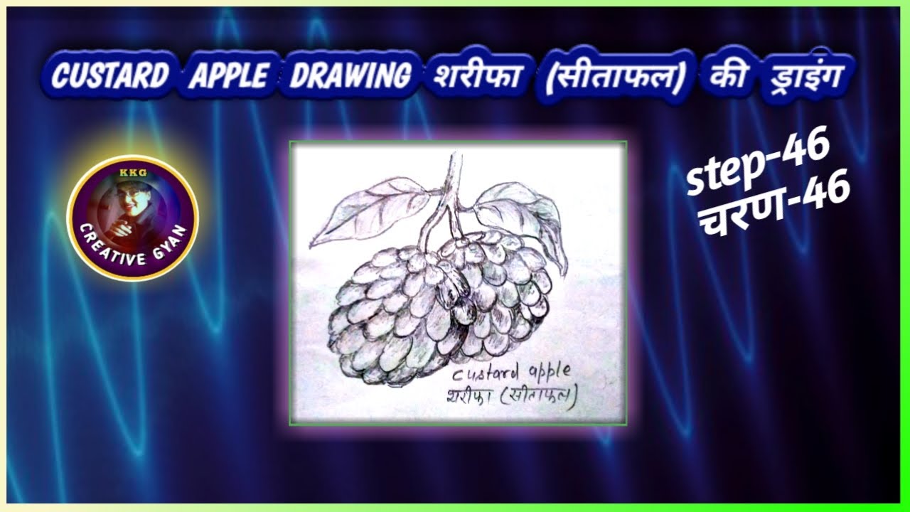 How To Easy Drawing Custard Apple शरीफा चित्रण का आसान तरीका - YouTube