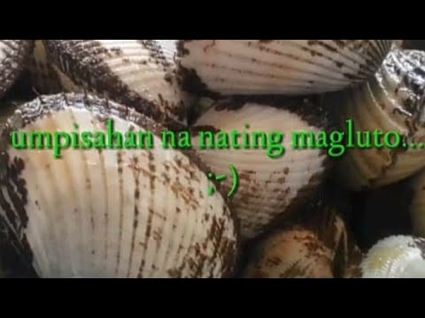 Blood cockles recipe | sumbaboy lutong ilocano - YouTube