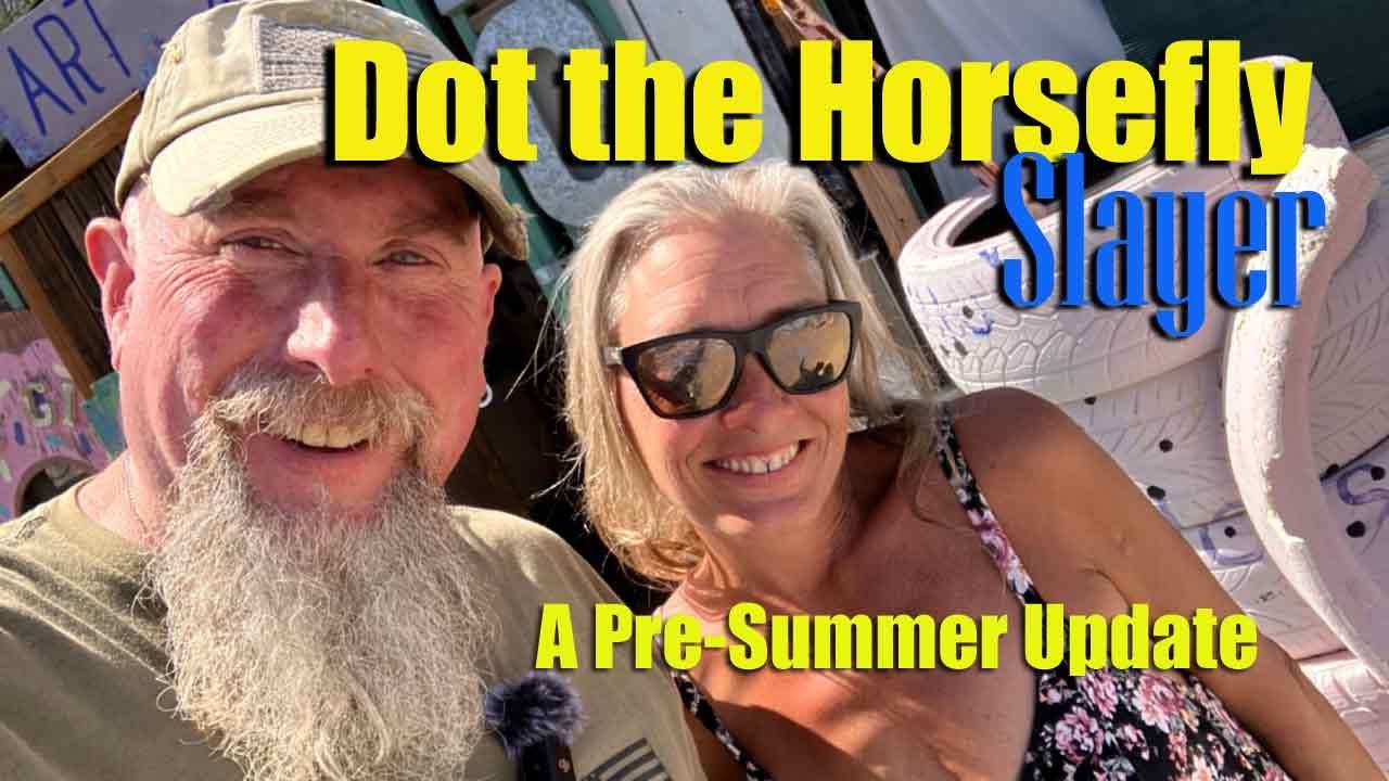 Dot vs the Horseflies in Slab City - YouTube