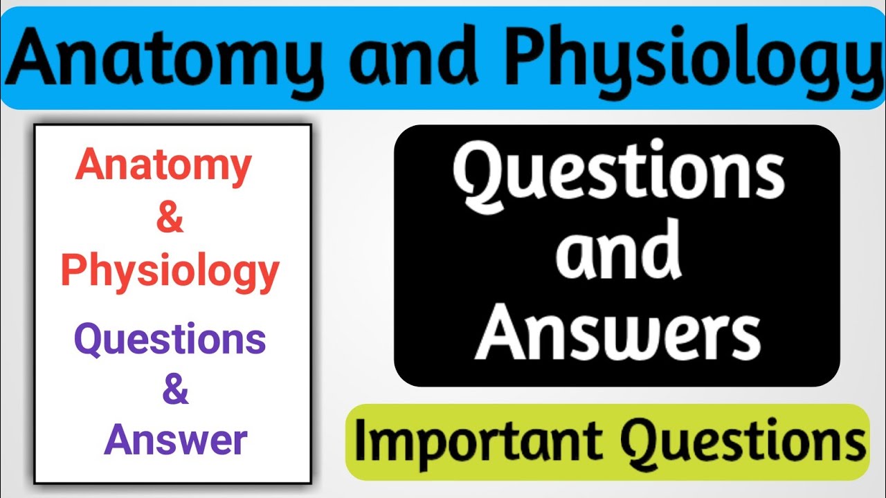 Anatomy and Physiology Questions and Answers - YouTube