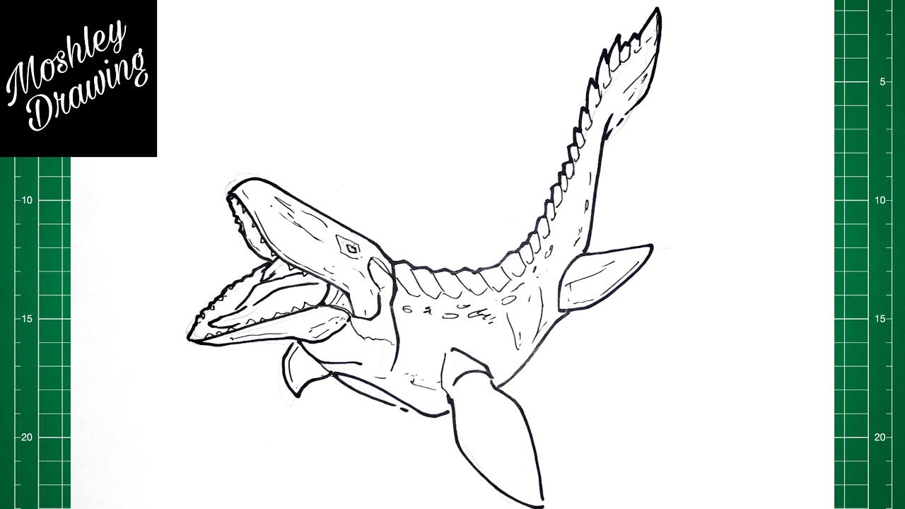 Mesosaurus Drawing