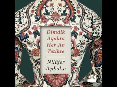 Dimdik Ayakta Her An Tetikte - Nilüfer Açıkalın