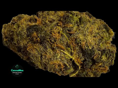 REVIEW 🍋🙏 #Avaay27/1 SCG mit 28,2% THC #supercitrag #indica #hybrid #Kanada