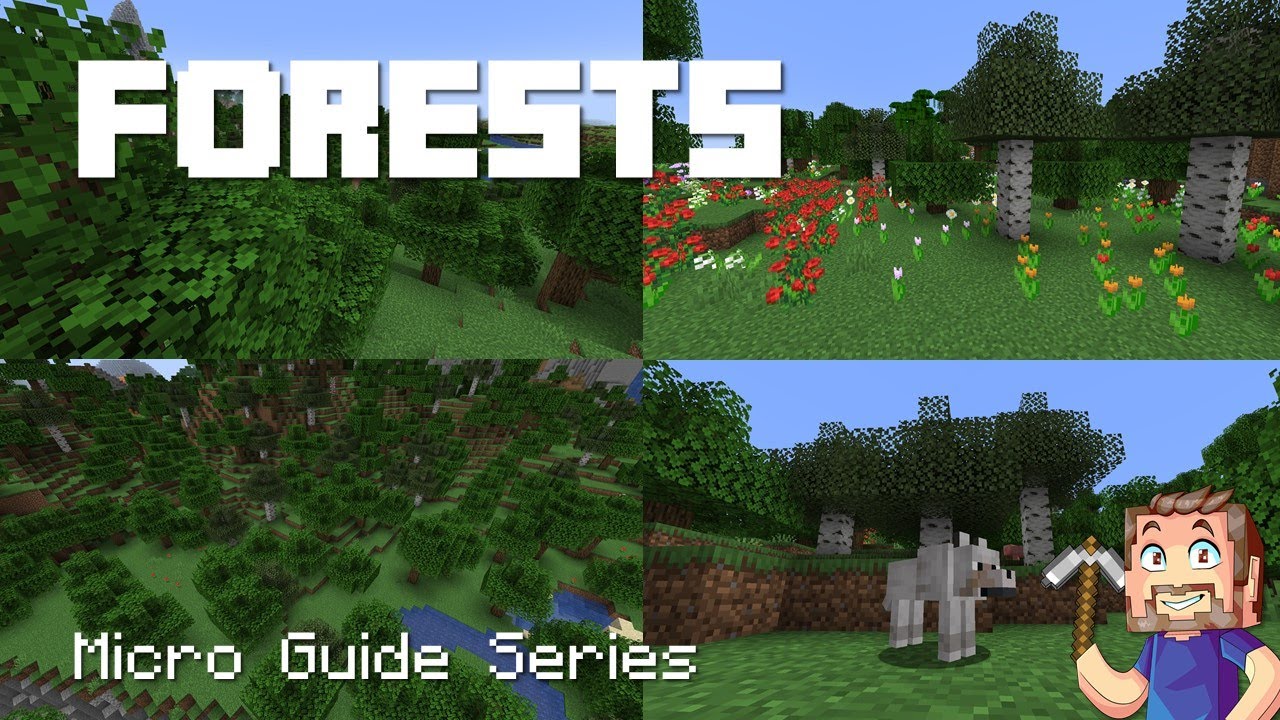 Forests - Minecraft Micro Guide - YouTube