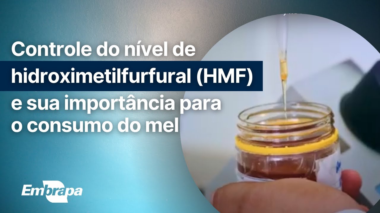 A importância do HMF (Hidroximetilfurfural) no mel - YouTube