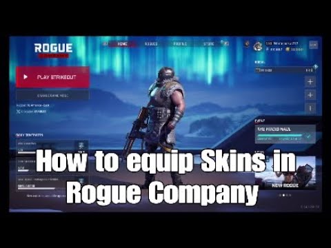 Rogue Company: How to Customize your Rogues - YouTube