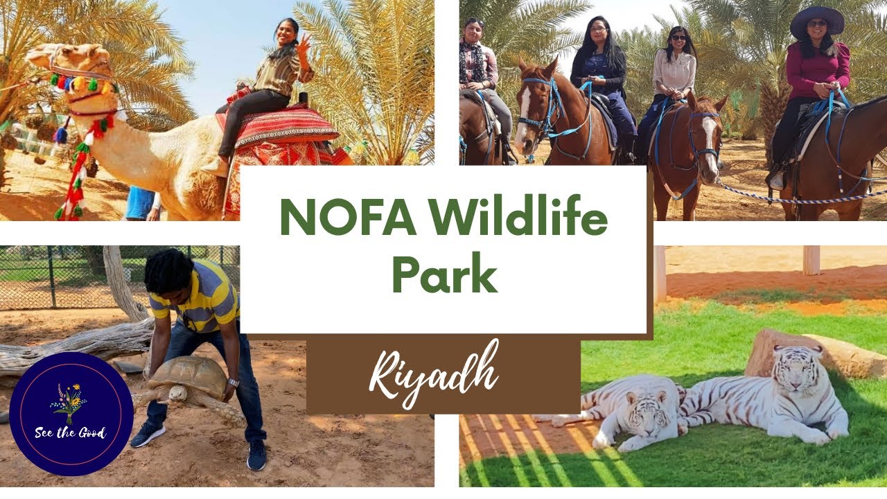 NOFA safari and wildlife park, Riyadh - YouTube