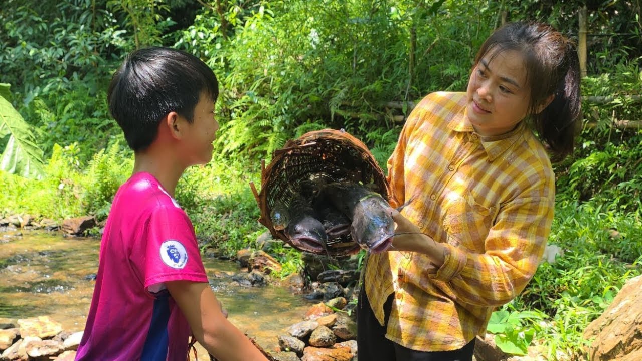 Bac and sister set up traps to catch fish in a small stream, harvesting ...