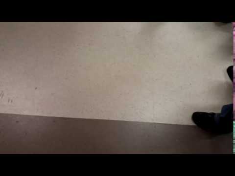 Ruud Wouters's live broadcast - YouTube