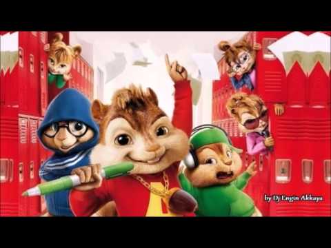 Alvin & Sincaplar Engin Akkaya'nın Sessizliği Boz Parçasını Yorumladı