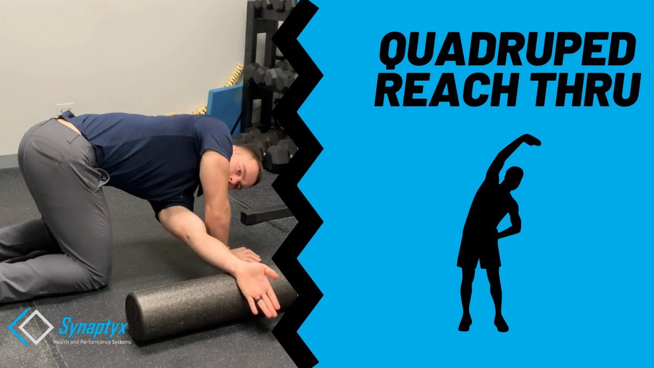 Quadruped Reach Thru - YouTube