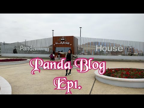 Panda House Blog Episode1 | Panda Zone In Alkhor At Doha Qatar ...