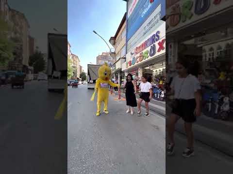 Fenomen Civciv Halay #fyp #cityorganizasyon #youtube #halay #tiktok #fenomencivciv #eğlence