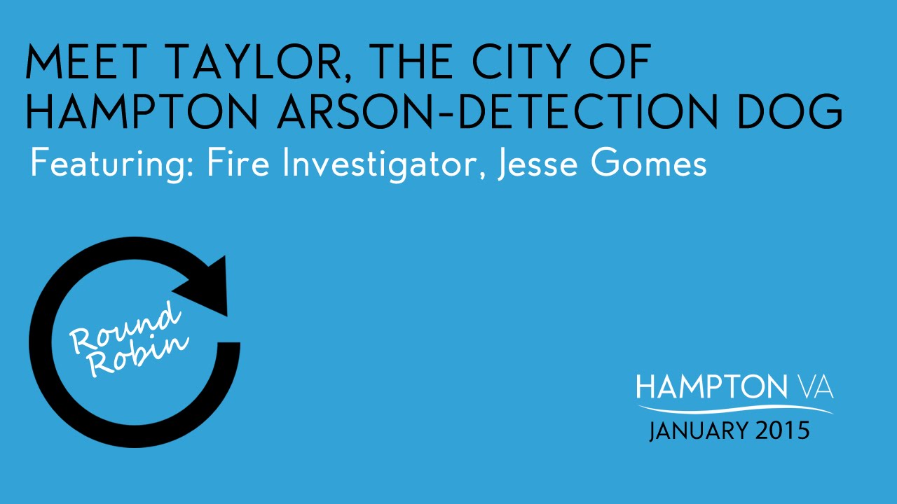 Meet Taylor, the City of Hampton arson-detection dog - YouTube