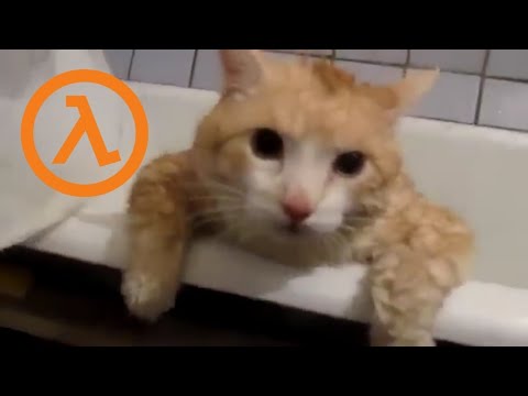 Half Life cat (Half-Life sfx) - YouTube